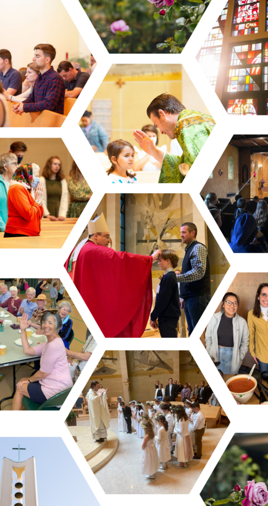 2023 Parish Census | St. Anne Catholic Church