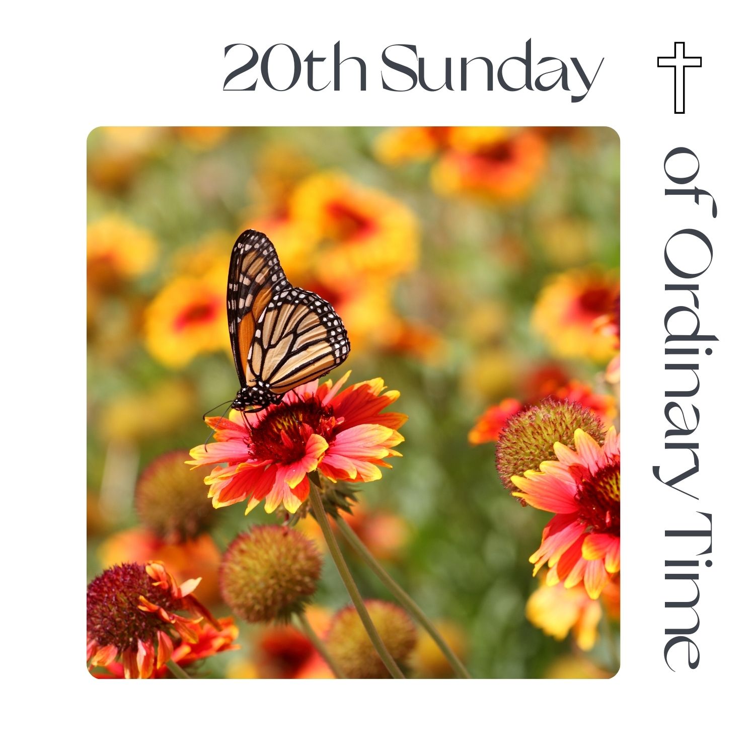 20th Sunday in Ordinary Time | St. Anne Catholic Church