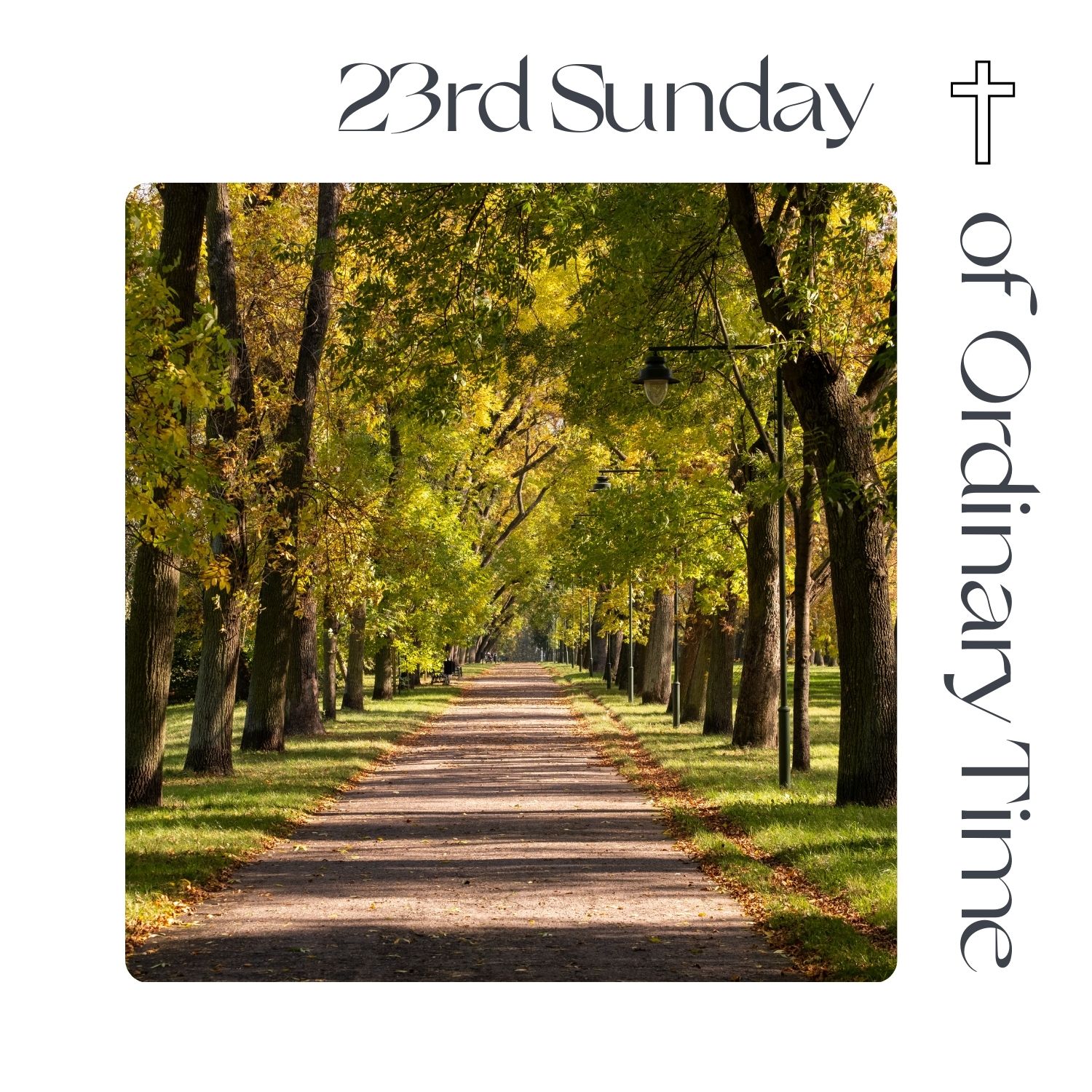 23rd Sunday in Ordinary Time | St. Anne Catholic Church