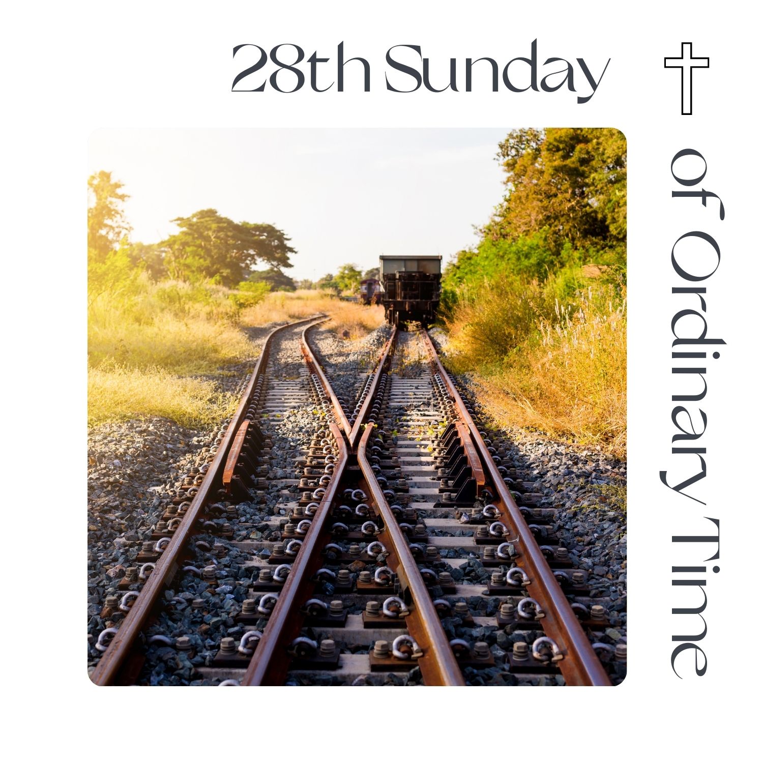 28th Sunday in Ordinary Time | St. Anne Catholic Church