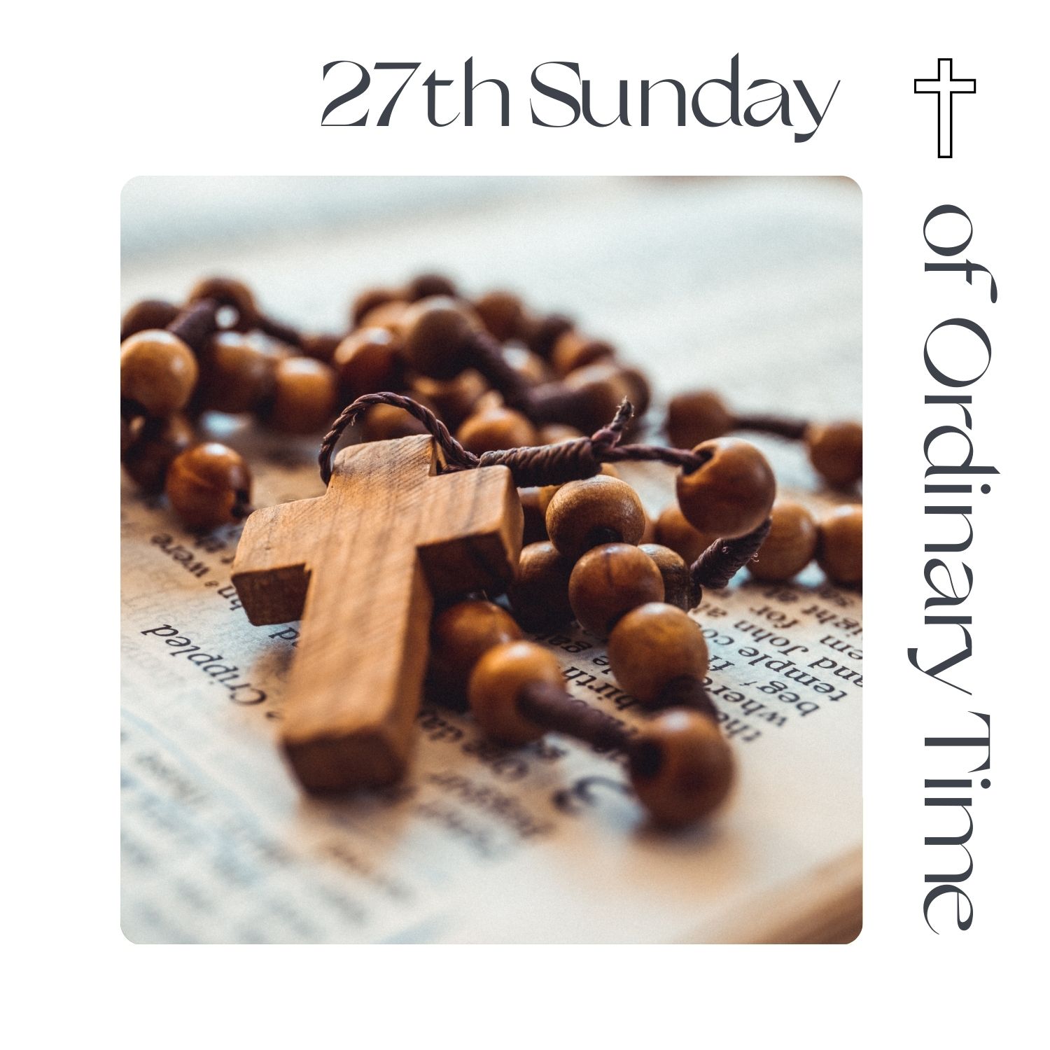 27th Sunday in Ordinary Time | St. Anne Catholic Church