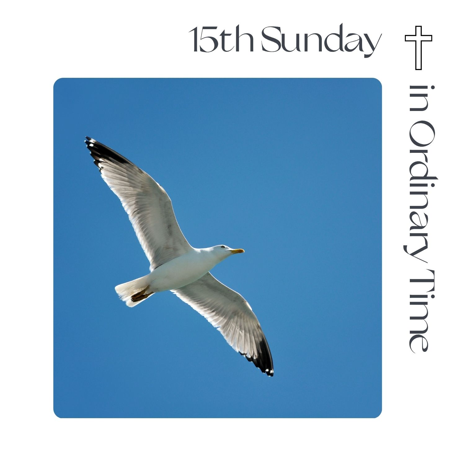 15th Sunday in Ordinary Time | St. Anne Catholic Church
