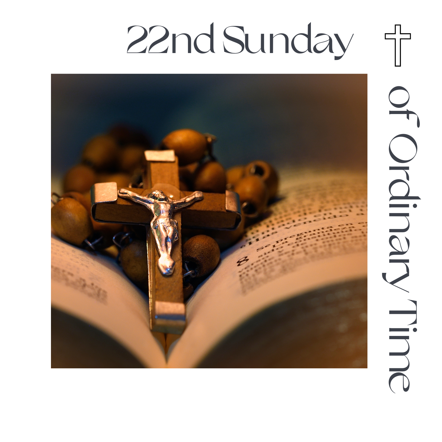 22nd Sunday in Ordinary Time | St. Anne Catholic Church