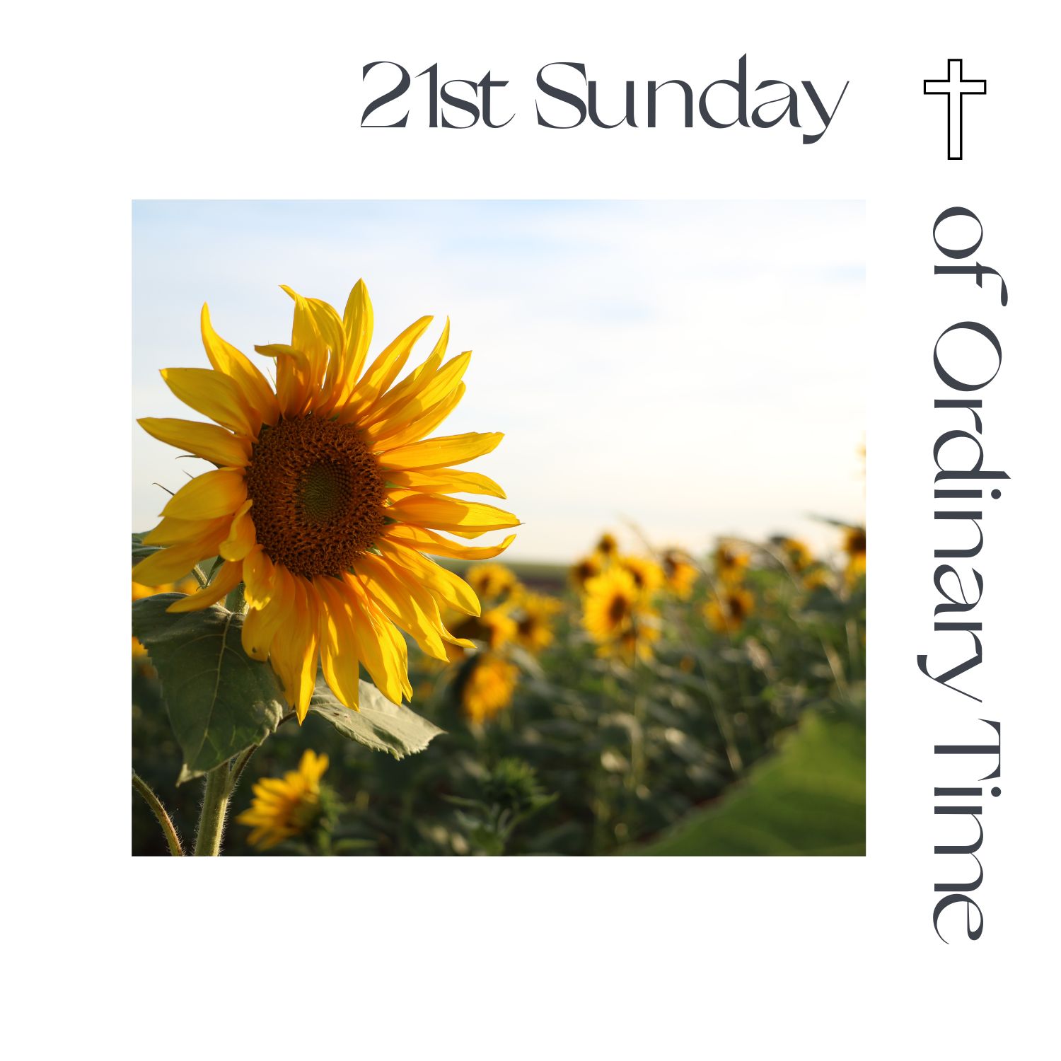 21st Sunday in Ordinary Time | St. Anne Catholic Church