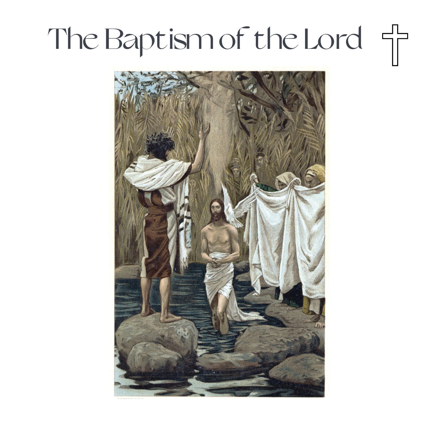 The Baptism of the Lord | St. Anne Catholic Church